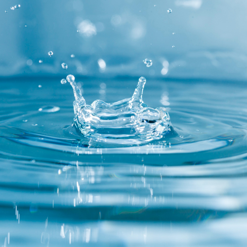 BioPulse: India's First Single-Use Bioprocessing Integrator.